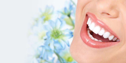 Directory | Commerce Court - Quadreal